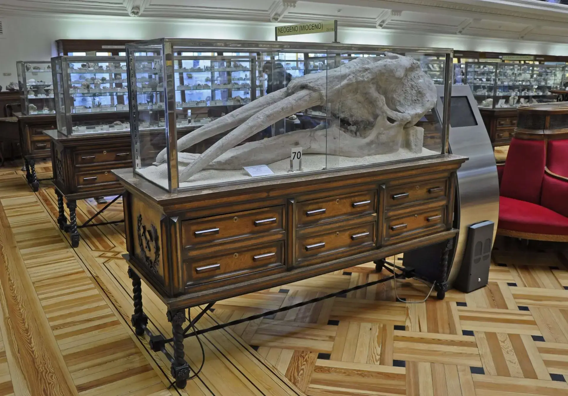 Historia del Museo » IGME - CSIC