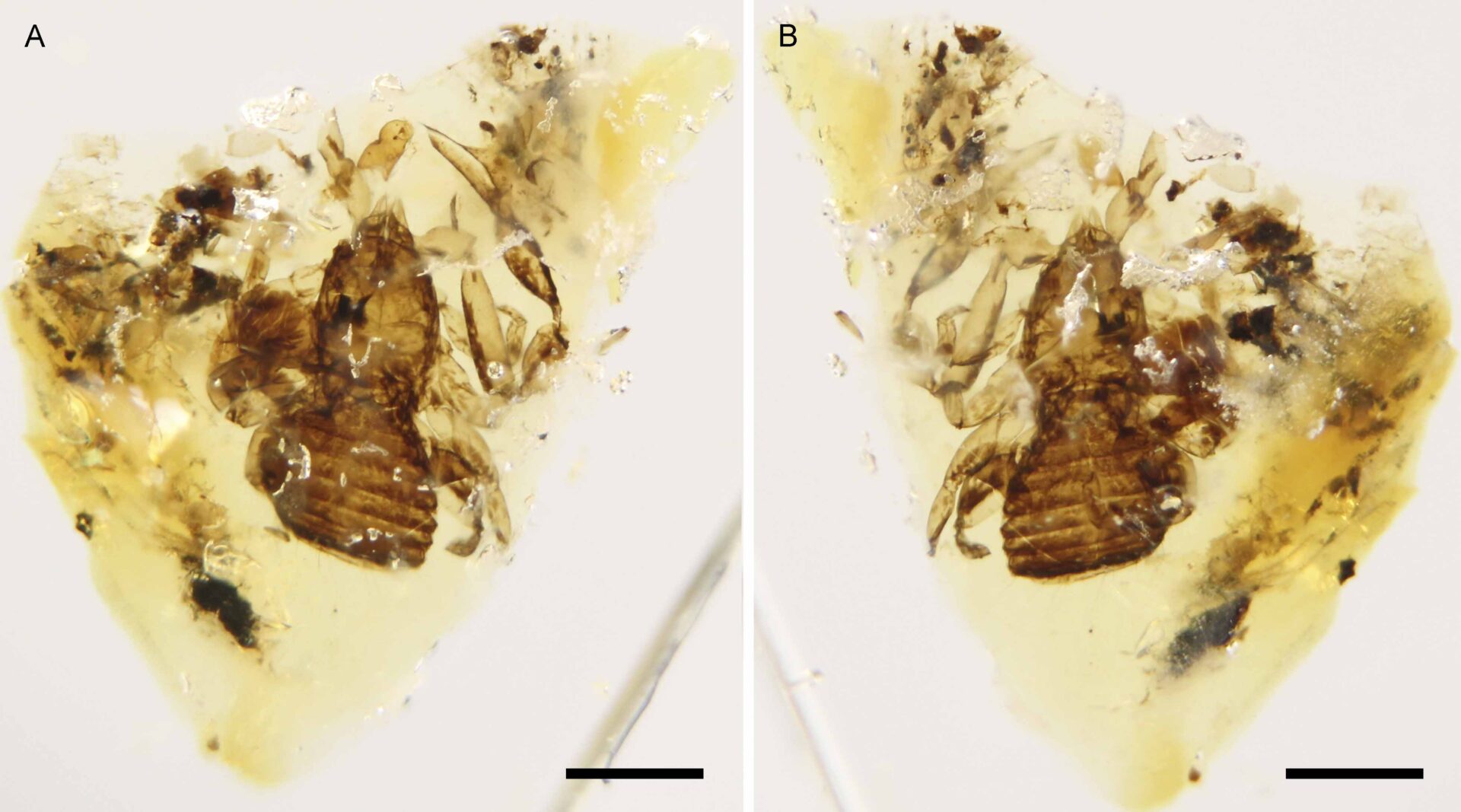 El Centro Nacional IGME - IGME - CSIC
