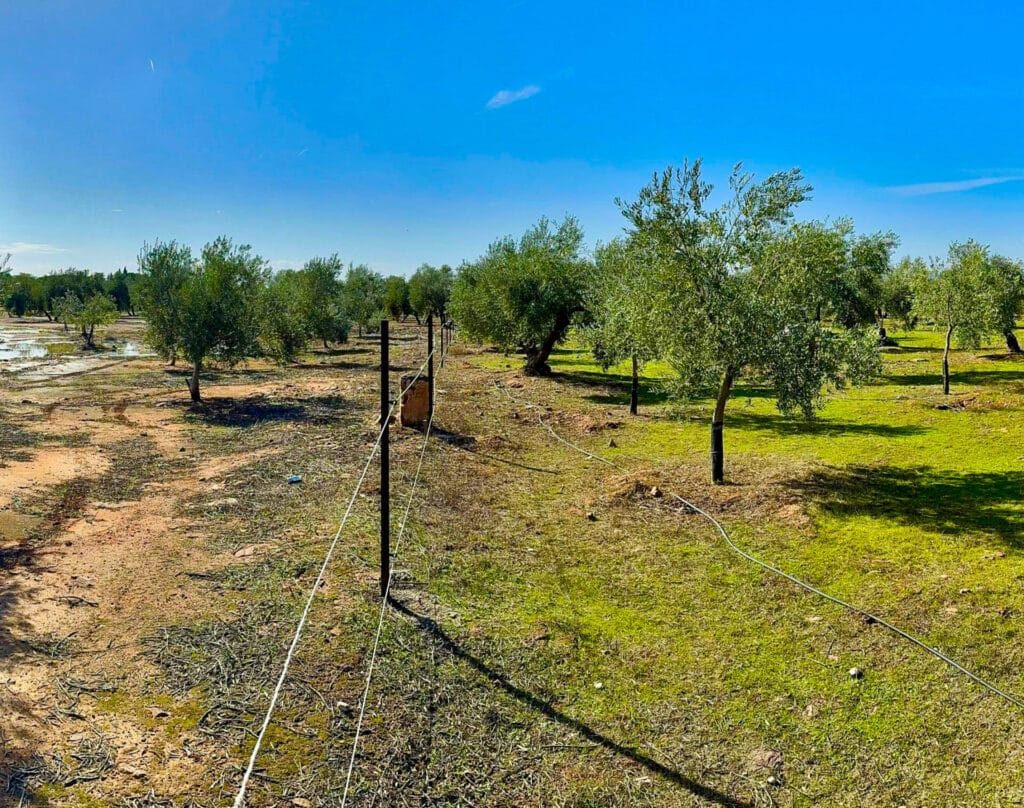 El Centro Nacional IGME - IGME - CSIC