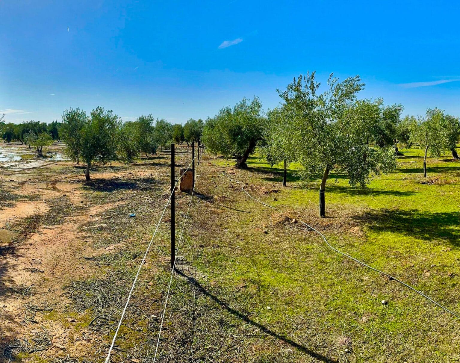 El Centro Nacional IGME - IGME - CSIC