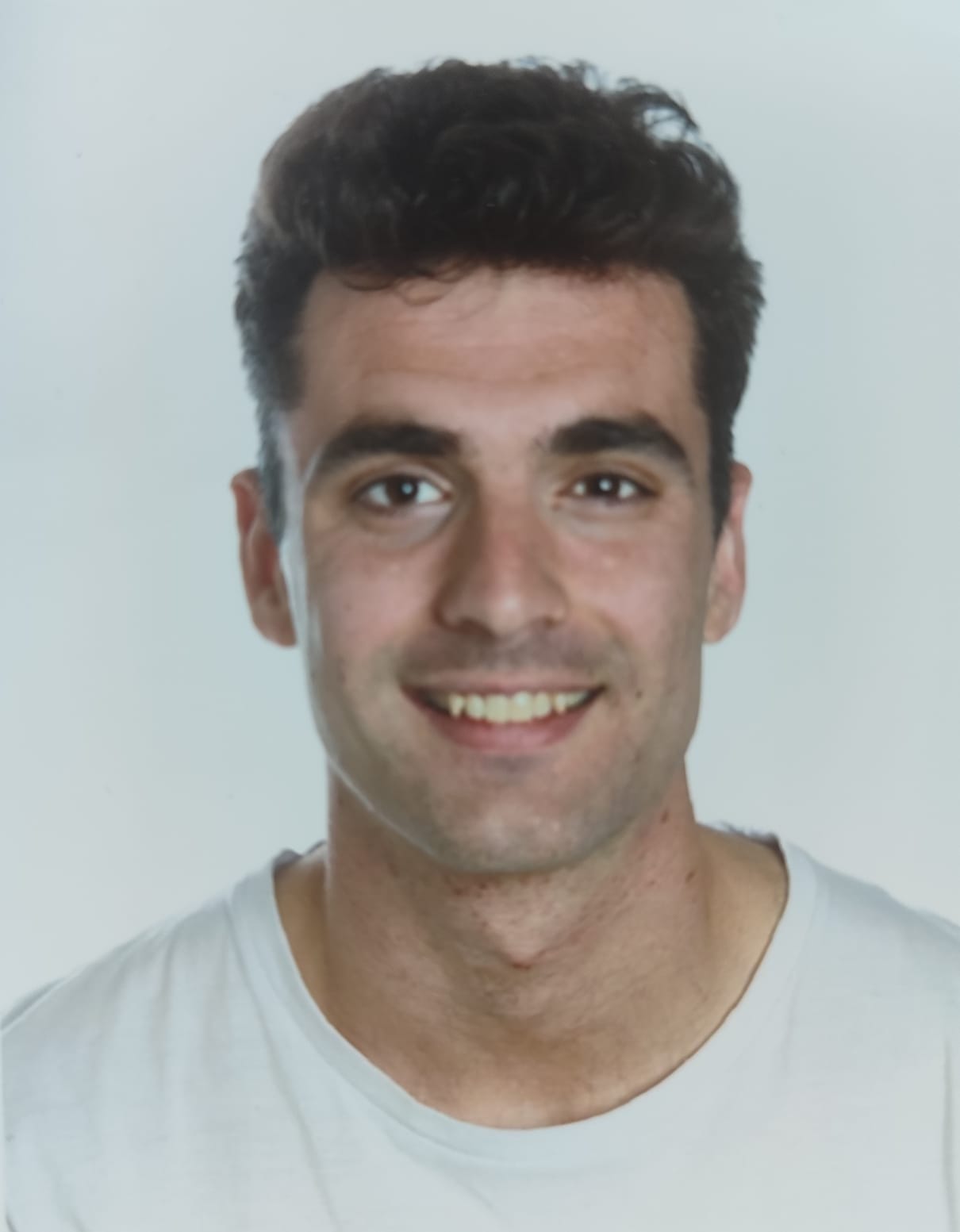 Iñigo Borrajo Maza - IGME - CSIC