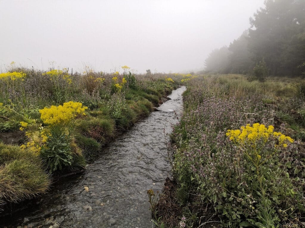 El Centro Nacional IGME - IGME - CSIC