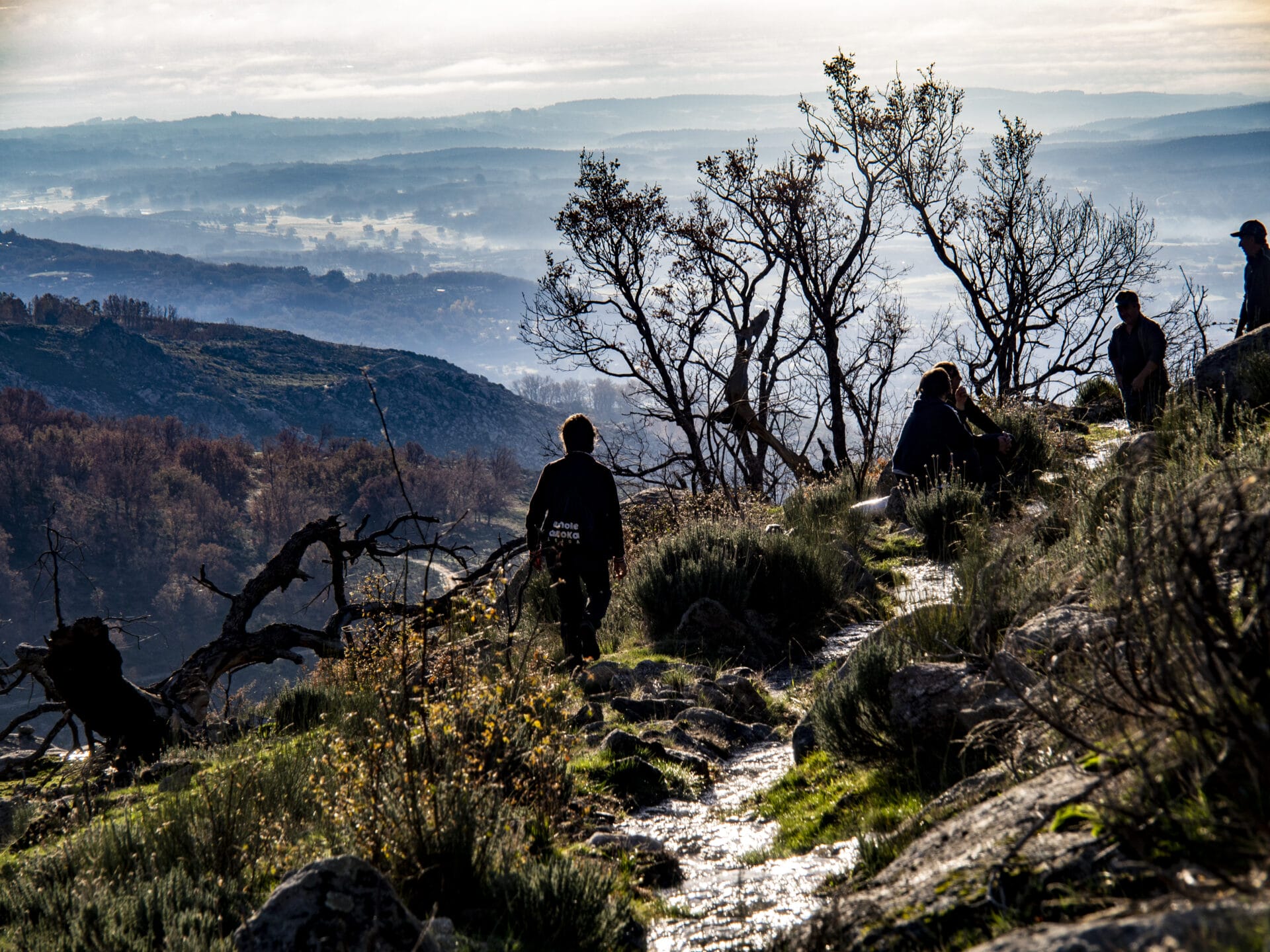 El Centro Nacional IGME - IGME - CSIC