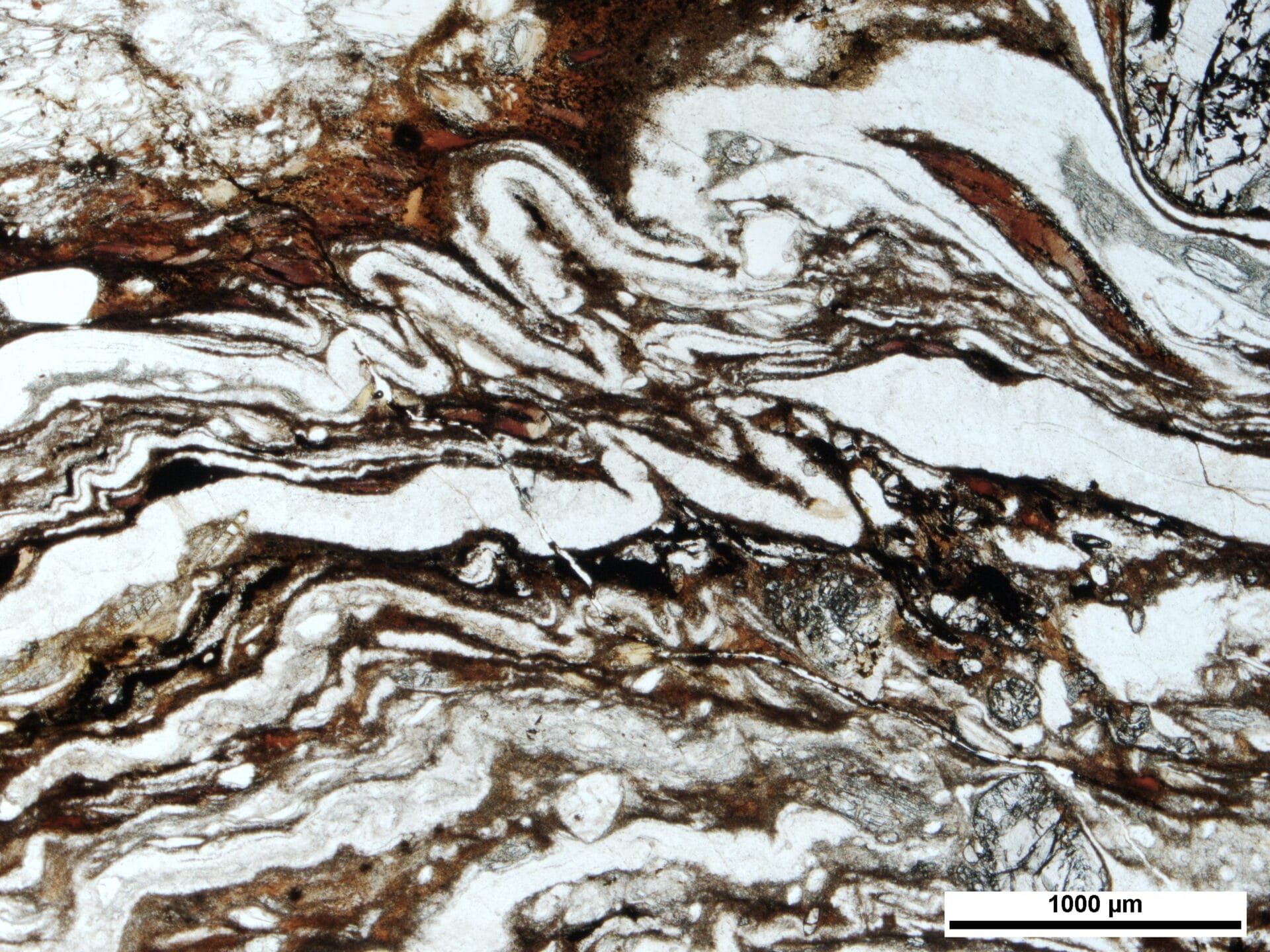 El Centro Nacional IGME - IGME - CSIC
