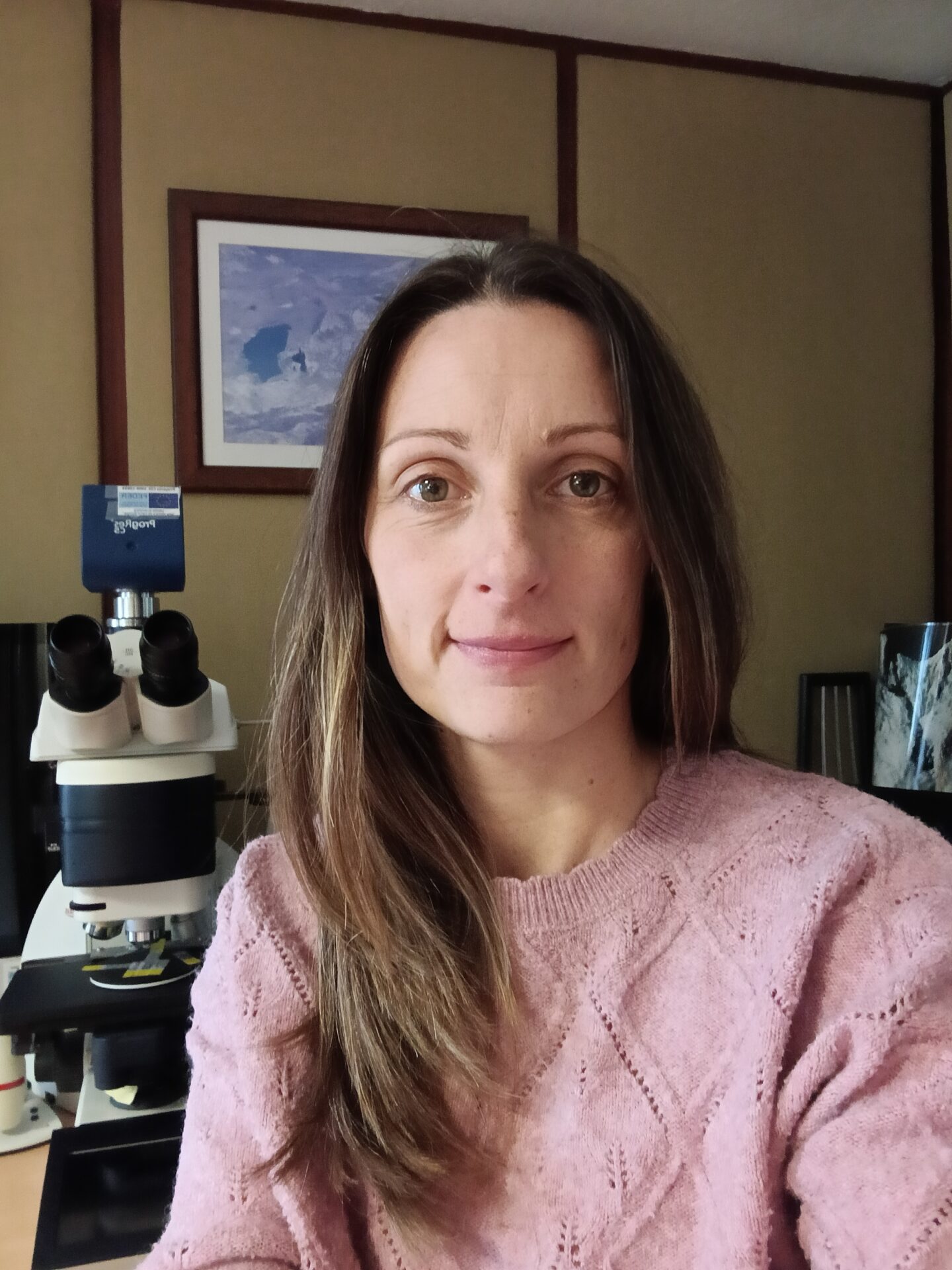 Timea Kováks » IGME - CSIC